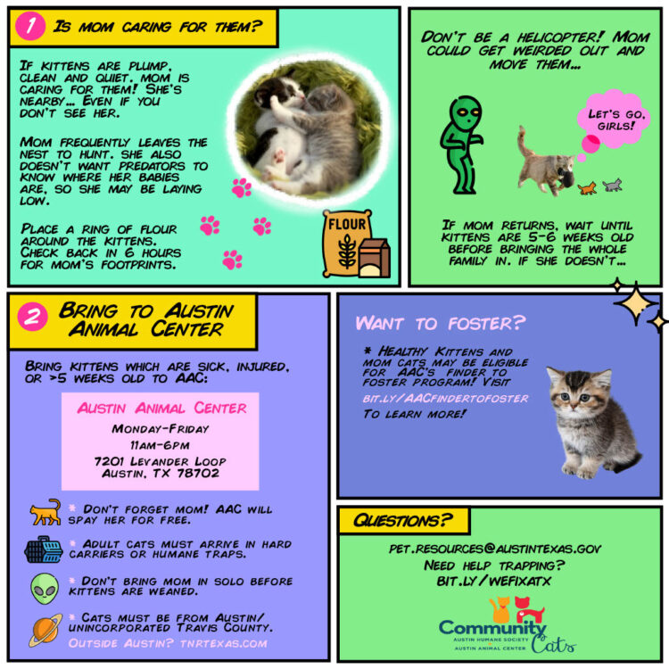 Austin Pets Alive! | Found Animals