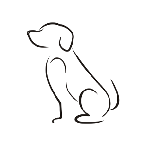 Austin Pets Alive! | Strawberry Icing