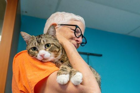 Austin Pets Alive! | Yes Alive! 2024