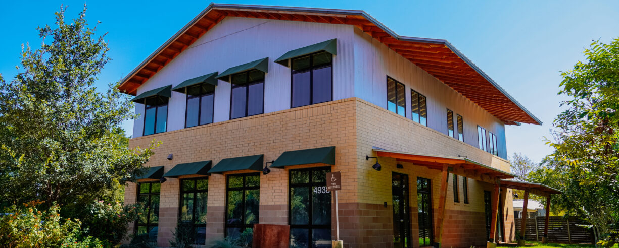 Austin Pets Alive! | Yes Alive! 2024